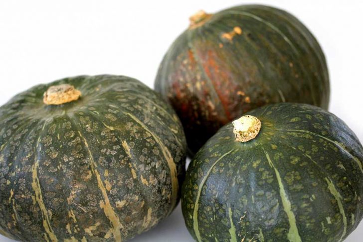 Hint-Pot | ヒントポット ―くらしがきらめく ヒントのギフト― - (1926)