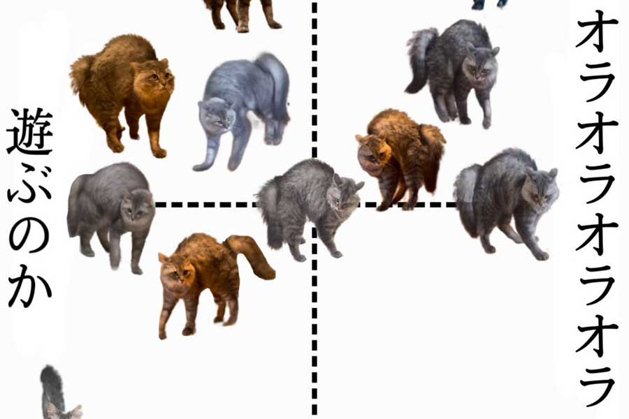 ねこの"やんのかステップ"をチャート化 愛があふれる4年分の記録に爆笑 「傑作です」 | Hint-Pot