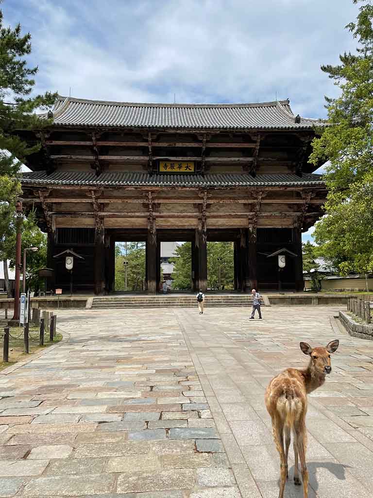 フランス人「すごくびっくりした」 日本でとくに印象的だった光景とは | Hint-Pot - (2)