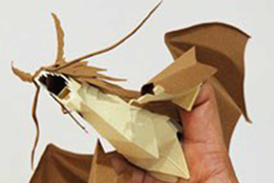 「素晴らしい発想」 独学で培った技術 初めての作品からの成長に驚きの声 | Hint-Pot - (3)