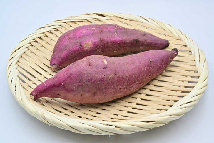 Hint-Pot | ヒントポット ―くらしがきらめく ヒントのギフト― - (1929)