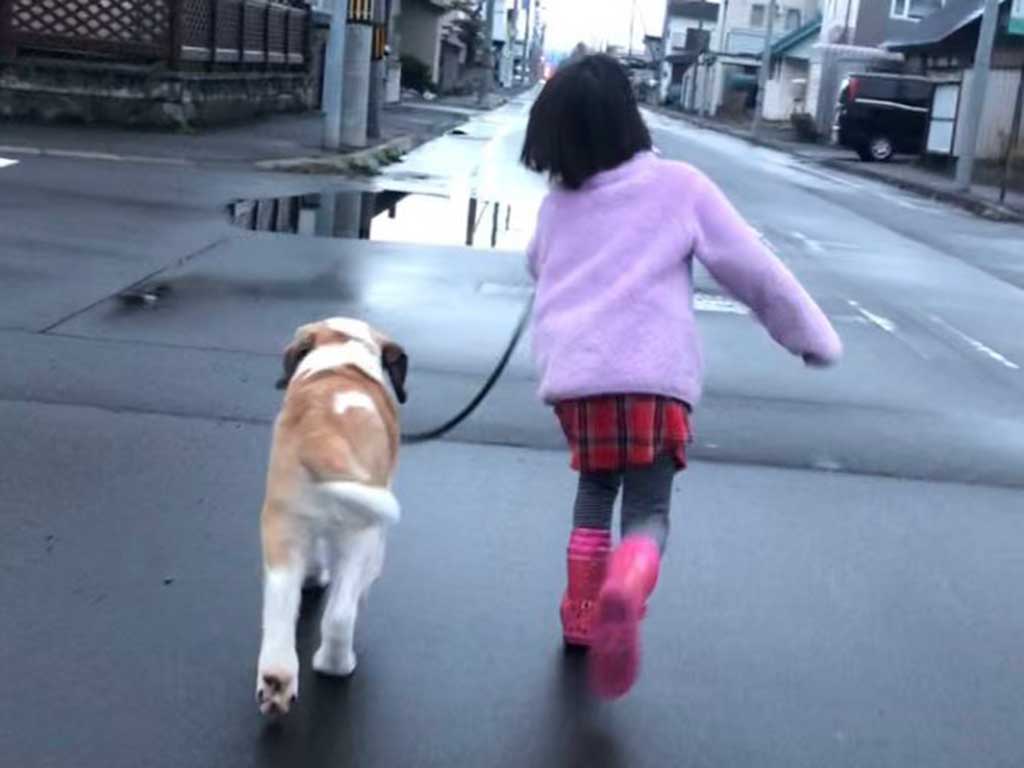「同一人物」 5年前の娘と愛犬→今も変わらない"ふたり"の絆に8万"いいね" 「おっきくなったねぇ～！」「泣きそう」 | Hint-Pot - (2)